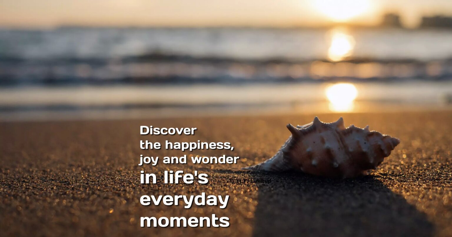 Everyday Happiness | Life Force Mindfulness